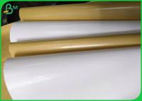 China 100gsm + 10gsm PE Single Side Coated Oil Resistant Food Grade Paper Roll for sale