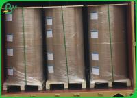 China 230g 250g SGS G1S Coated SBS FBB Ivory Board Paper For Print Advertisement for sale