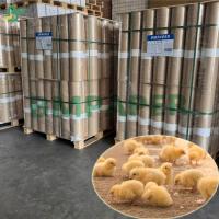 China 100% Recycled 43g Chick Brooding Poultry Paper Roll 63cm x 200m Lightweight for sale
