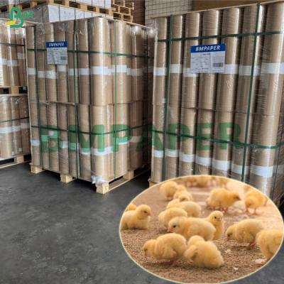 China 100% Recycled 43g Chick Brooding Poultry Paper Roll 63cm x 200m Lightweight for sale