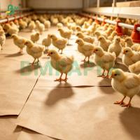China 75g Absorbent Bedding  Anti-slip Paper For Chick Waterfowl Hatchery for sale