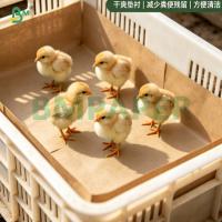 China 75gsm Brown Chick Paper 100% Recycled Biodegradable Poultry Bedding Paper Roll For Hatchery for sale