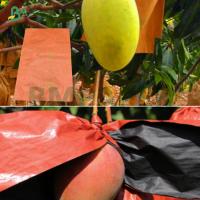 China Outer Red Wax Coating Stronger Shading Fruit Bag Paper for Outdoor Use for sale