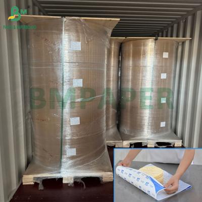 China 30gsm 40gsm White Food Grade Tortilla Separator Paper in 35cm 47cm Reel for sale