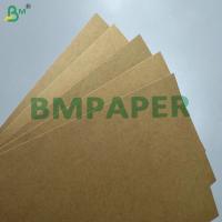 China Grease & Leakproof PE PP Coated 300–330gsmFood Container Paperboard for Takeaway Boxes Trays & Lunch Box Production for sale