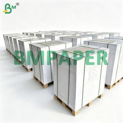 China 190g 230g 250g Ivory Board Coated Paper (C1S), 65cmx86cm Printing & Packaging Cardstock for sale