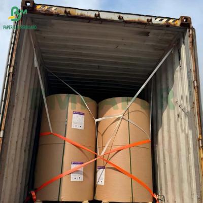 China Foodgrade 230gsm + 1 PE Coated Cupstock Paper For Coffee Cup 66 x 96cm for sale