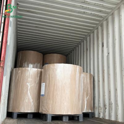 China Good Wet Strength 50GSM 52GSM Food Contact Compliant Coffee Filter Paper for sale