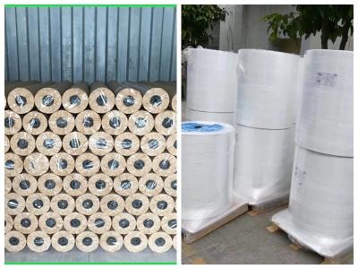 China Waterproof Printable PE Coated Paper For Bedding Label Fiber Pulp for sale