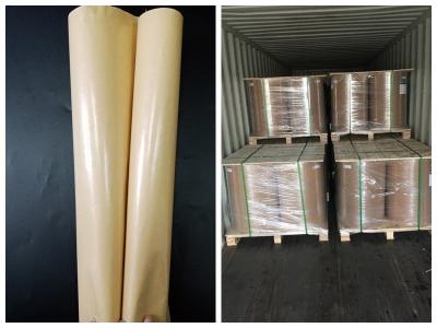 China One Side PE Coated Food Grade Paper Roll For Lunch Box  FDA Certificated for sale