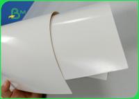 China Width 708mm 300gsm + 15g PE CIS Ivory Board Poly Coated Paper For Lunch Box for sale