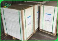 China C1S Ivory Board Poly Coated Paper 300gsm + 15g PE 70 X 100cm For Cup Making for sale
