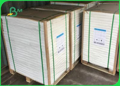 China C1S Ivory Board Poly Coated Paper 300gsm + 15g PE 70 X 100cm For Cup Making for sale
