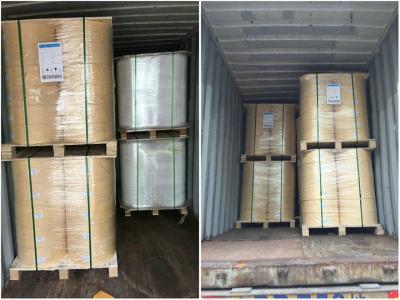 China 40gsm 60gsm Greaseproof PE Coated Paper Roll For Food Packaging for sale