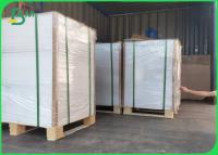 China 350gsm Take Out Food Container Paper Board FDA 15gr PE Sheet / Roll for sale