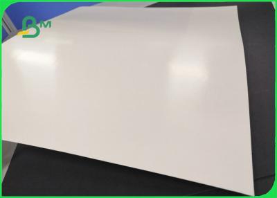 China Food Grade Single White PE Coated Paper 300gsm + 15gsm Sheet Greaseproof for sale