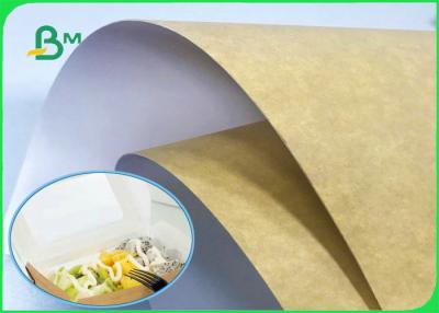 China 250GSM - 360GSM Food Grade White Top Kraft Liner Paper For Food Packing for sale