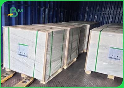 China 170g 190g 210g Watertight PE Coating Cup Paper 550mm Roll FDA Approved for sale