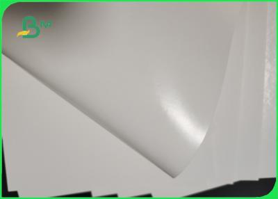 China 250gsm 300gsm PE Coating White Paper Board For Pizza Boxes Waterproof for sale
