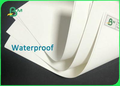 China 130um - 350um Synthesis Paper High Tear Strength For Printing Posters for sale