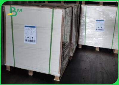 China 295gsm 325gsm Food Grade White Cardboard For Popcorn Box High Bulk 70 x 100cm for sale