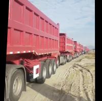 China 80T Rear Tipping Truck Trailer Semi Trailer with 3.5