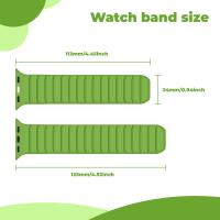 China Eraysun Magnetic Loop Silicone Strap Dual Color Custom Rubber Replaceable Ultra 2 Sport I Watch 10 9 8 7 for Apple Watch Bands for sale