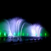 China stainless steel sea-gull nozzle music dancing water fountain for sale