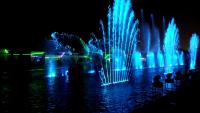China stainless steel sea-gull nozzle music dancing water fountain for sale