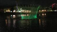 China stainless steel sea-gull nozzle music dancing water fountain for sale