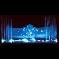 China Vietnam Show Water Dancing Fountain Musical Signal Control for sale