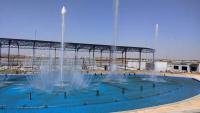 China Customized Music Dancing Floating Water Fountains for sale