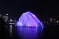 China Dynamic Floating Lake Fountain with LED Lighting - 380V Program Control System, Stainless Steel 304 Construction for sale