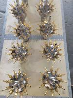 China Custom Made Flower Nozzle Fountain Music Control 220V 380V for sale