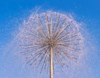 China Stainless Steel 304 LED Dandelion Water Fountain with 24V RGB Lighting for Amusement Parks for sale