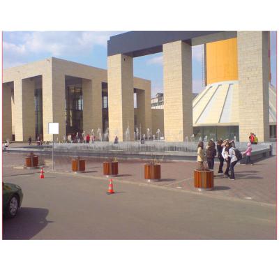 China Commercial Outdoor Fountain System 110V 220V 380V with 25x2.5m Design and LED Lighting for Shopping Malls for sale