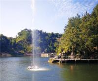 China 100m High-Spray Music Fountain System with Stainless Steel 304 Construction and LED Lighting for sale