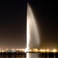 China Musical Spray Fountain with Laser Effects and 0-90% Humidity Range - Stainless Steel Outdoor Water Feature for sale