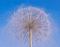 China Dandelion Fountain with LED Lighting and Musical Signal Control - 36 Inch Outdoor Water Feature with 10+ Year Lifespan for sale