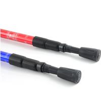 China Outdoor 4 Joint Aluminum Alloy Trekking Pole with T-Grip and Telescopic Folding Design for sale