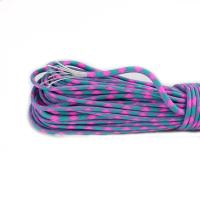China 100FT Outdoor Survival 550 Paracord Polyester 4mm Paracord Rope for sale