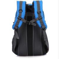China 0.45kg Lightweight Custom Nylon Traveling Backpack for Camping and Outdoor Adventures for sale