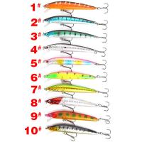 China 10cm Hard Fishing Bait Plastic Lure with Package Gross Weight of 0.012kg for sale