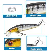 China 10cm Hard Fishing Bait Plastic Lure with Package Gross Weight of 0.012kg for sale