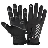 China Windproof Cotton Motorcycle Gloves for Sport Work in 20.00cm * 12.00cm * 3.00cm Size for sale