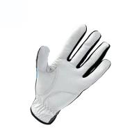 China 30-Day Return Guarantee Breathable Anti Slip Men's Cabretta Leather Golf Glove FER647 for sale