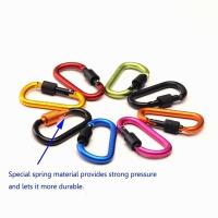 China D Shape Aluminum Keychain Carabiner Clip with Screw Lock Keep Your Keys Safe and Secure for sale