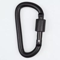 China Aluminium D Shape Carabiner Clip for Outdoor Climbing Survival Keychain Carabiner for sale