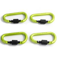 China Aluminium D Shape Carabiner Clip for Outdoor Climbing Survival Keychain Carabiner for sale