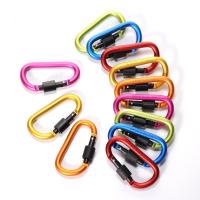China 8.00cm * 5.00cm * 1.00cm Package Size D Shape Aluminum Mini Keychain Carabiner Clip 1 for sale